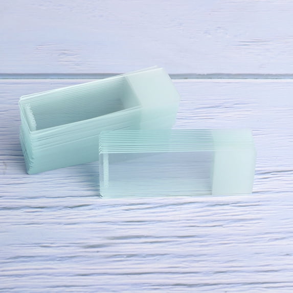 WHAMVOX Prepared Microscope Slide Wet Mount Preschool Science Slides ...