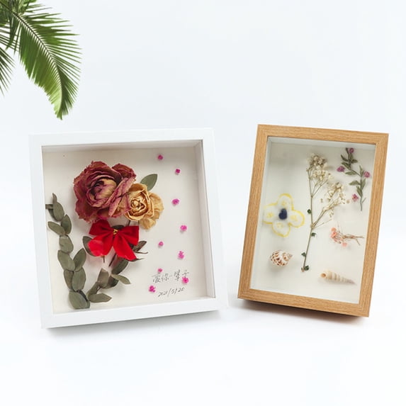 WHAMVOX Pressed Flower Frame Specimen Display Photo Plant - Walmart.com