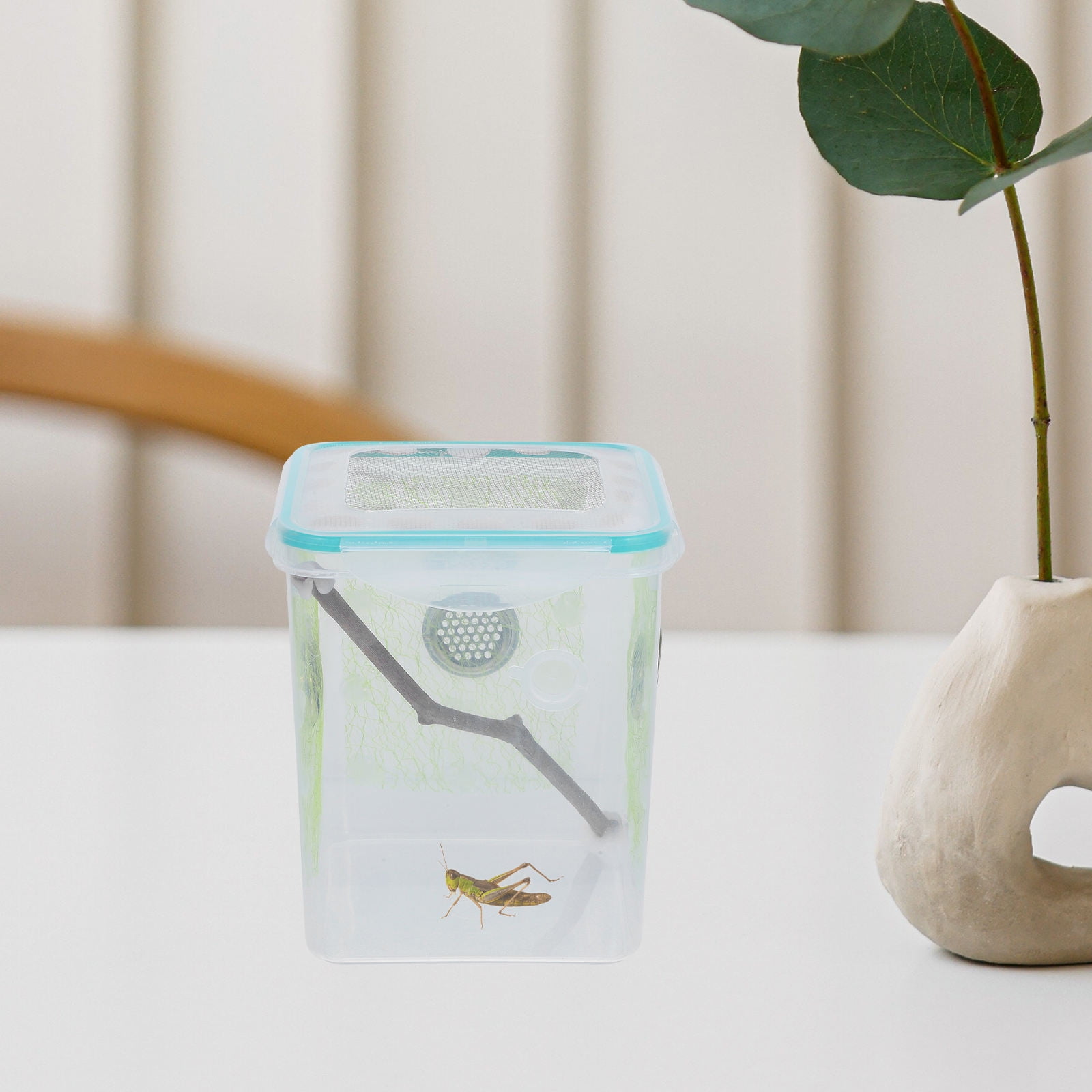 WHAMVOX Reptile Feeding Box Transparent Breeding Box Clear Terrarium ...