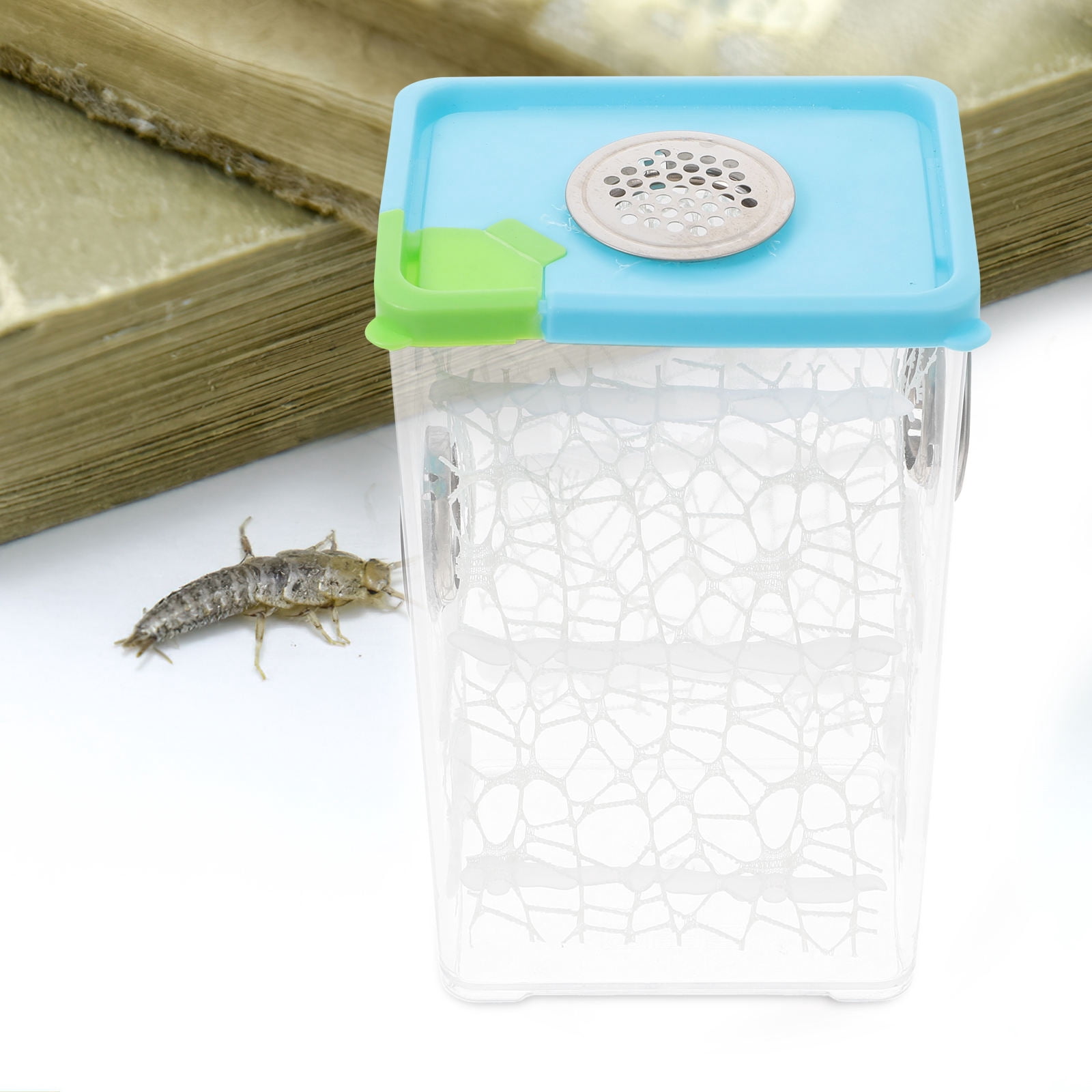 WHAMVOX Reptile Terrarium Aquarium Breeding Tank Tarantula Enclosure ...