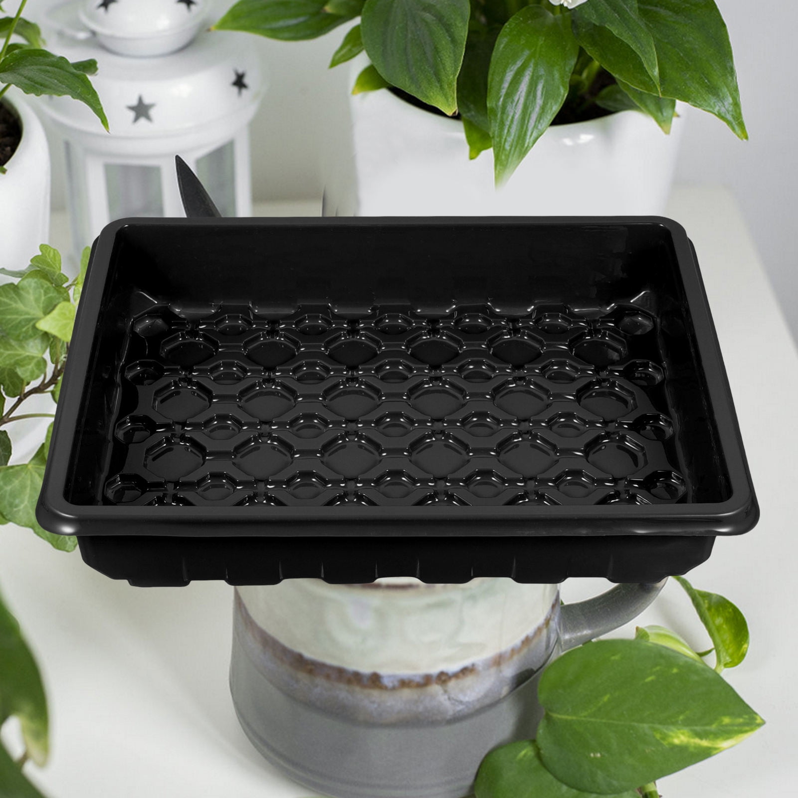 WHAMVOX Seedling Starter Tray Germination Container Trays for Garden ...