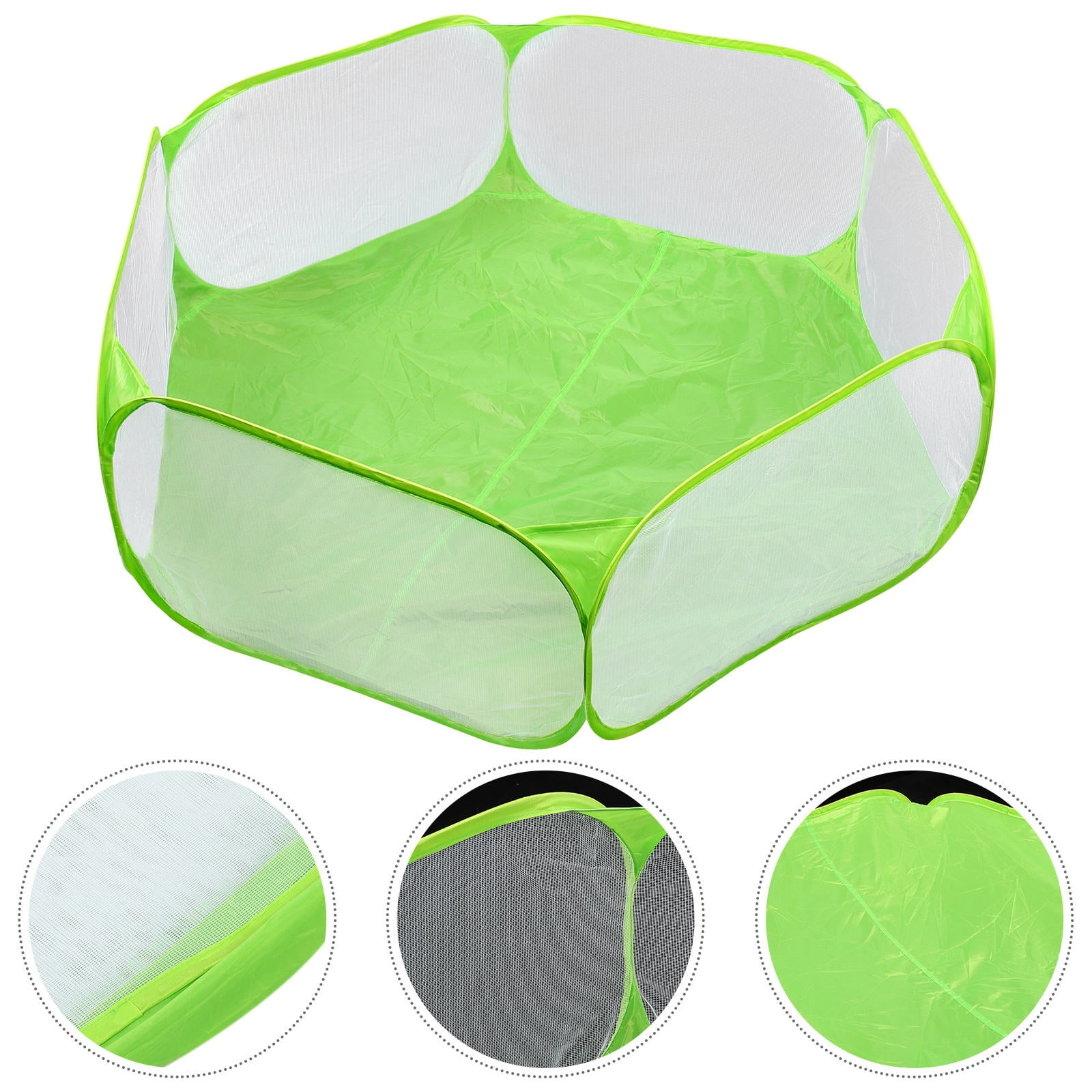 Indoor Dog Playroom