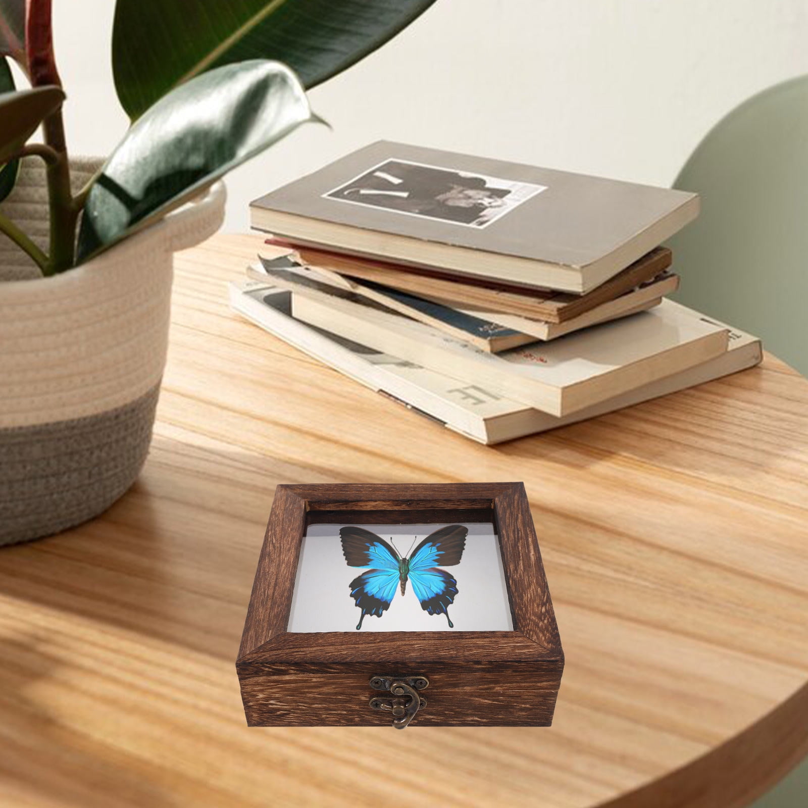 WHAMVOX Small Shadow Box 1Pack Coffee Colored Wooden Butterfly Display ...