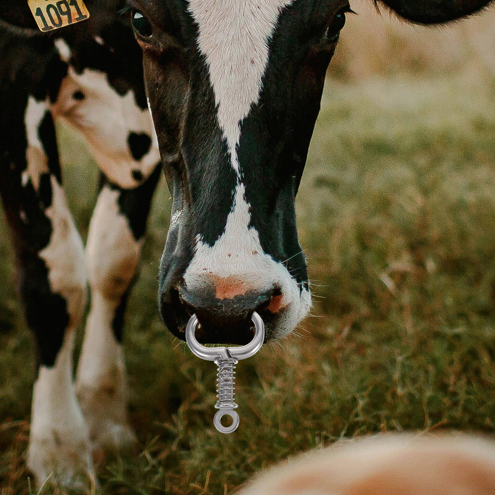 WHAMVOX Steel Cattle Nose Piercing Ring Cow Nose Ring Livestock Spring ...