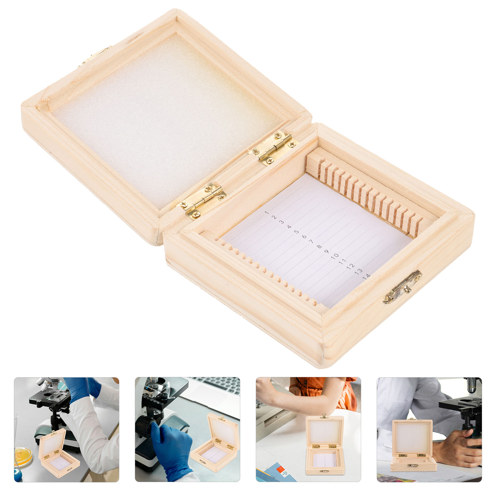 WHAMVOX Storage Slide Biological Slice .00X10.20X3.20CM - Walmart.com