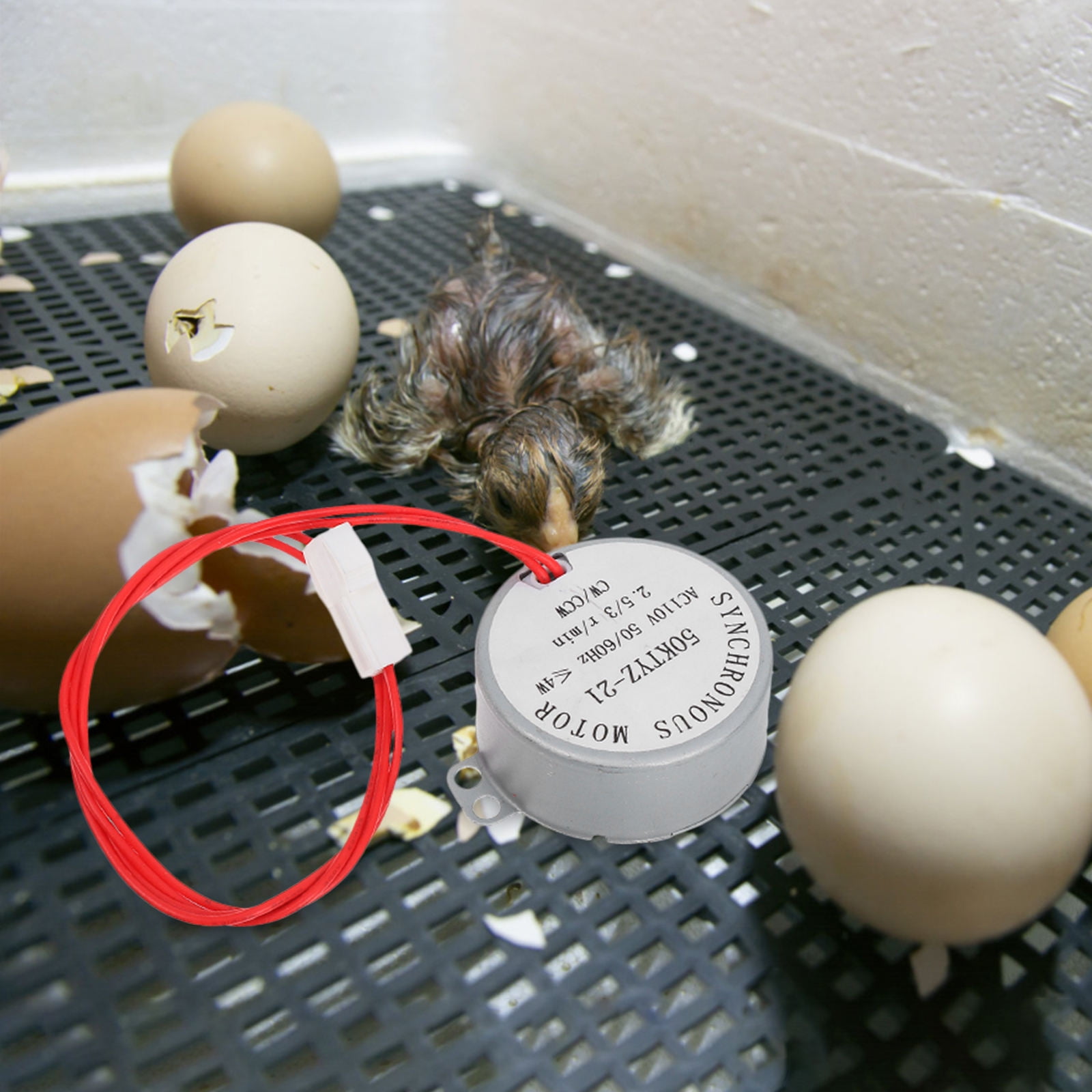 WHAMVOX Synchronous Egg Turner Motor Ac 110v For Chicken Egg Incubator ...