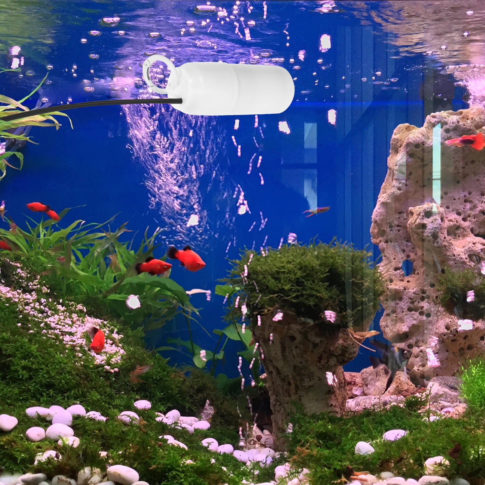 WHAMVOX USB Small Air Pump for Fish Tank Portable and Rechargeable ...