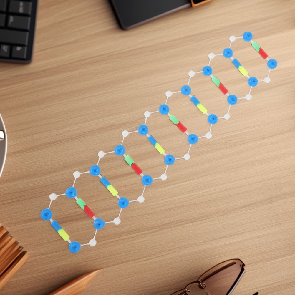 WHAMVOX WORGEOUS 2pcs Double Helix Structure Kit for Science Teaching ...