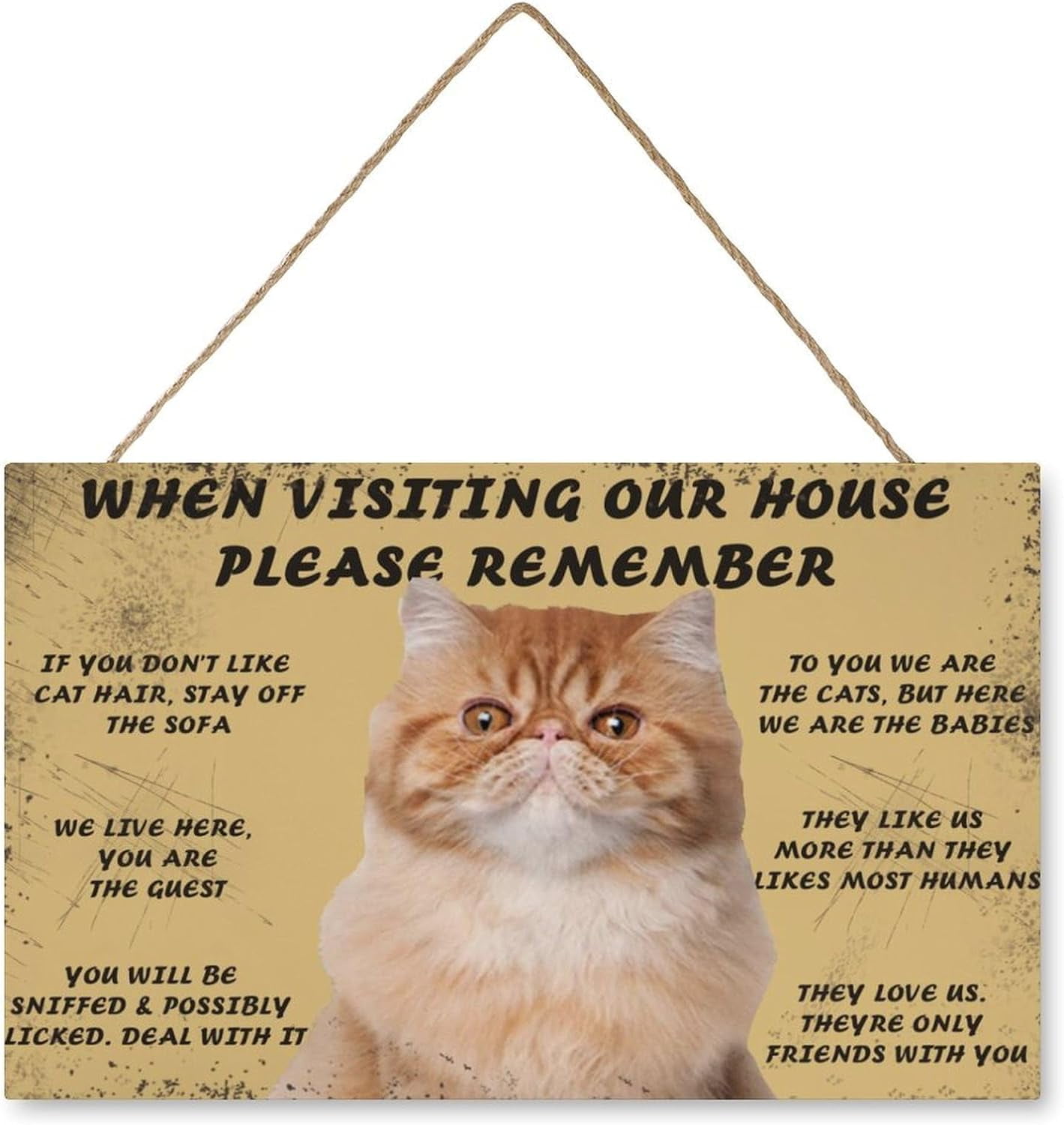 WHEN VISITING OUR HOUSE Wood Plaque Funny Cat Sign When Visiting My ...