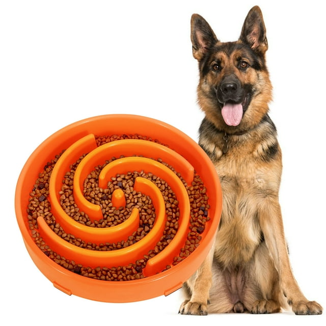 WHIPPY Slow Feeder Dog Bowl, Pet Food Feeding Bowl, Preventing Choking ...