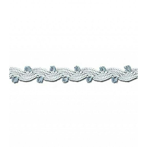 WHITE & BLUE 3/8 INCH PICOT BRAID - Walmart.com