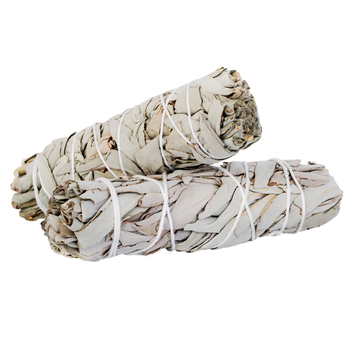 WHITE SAGE SMUDGE Sticks - 2, 3, 5 Pack Organic Sage Bundles Smudging Sticks, Sustainable, Fresh ...