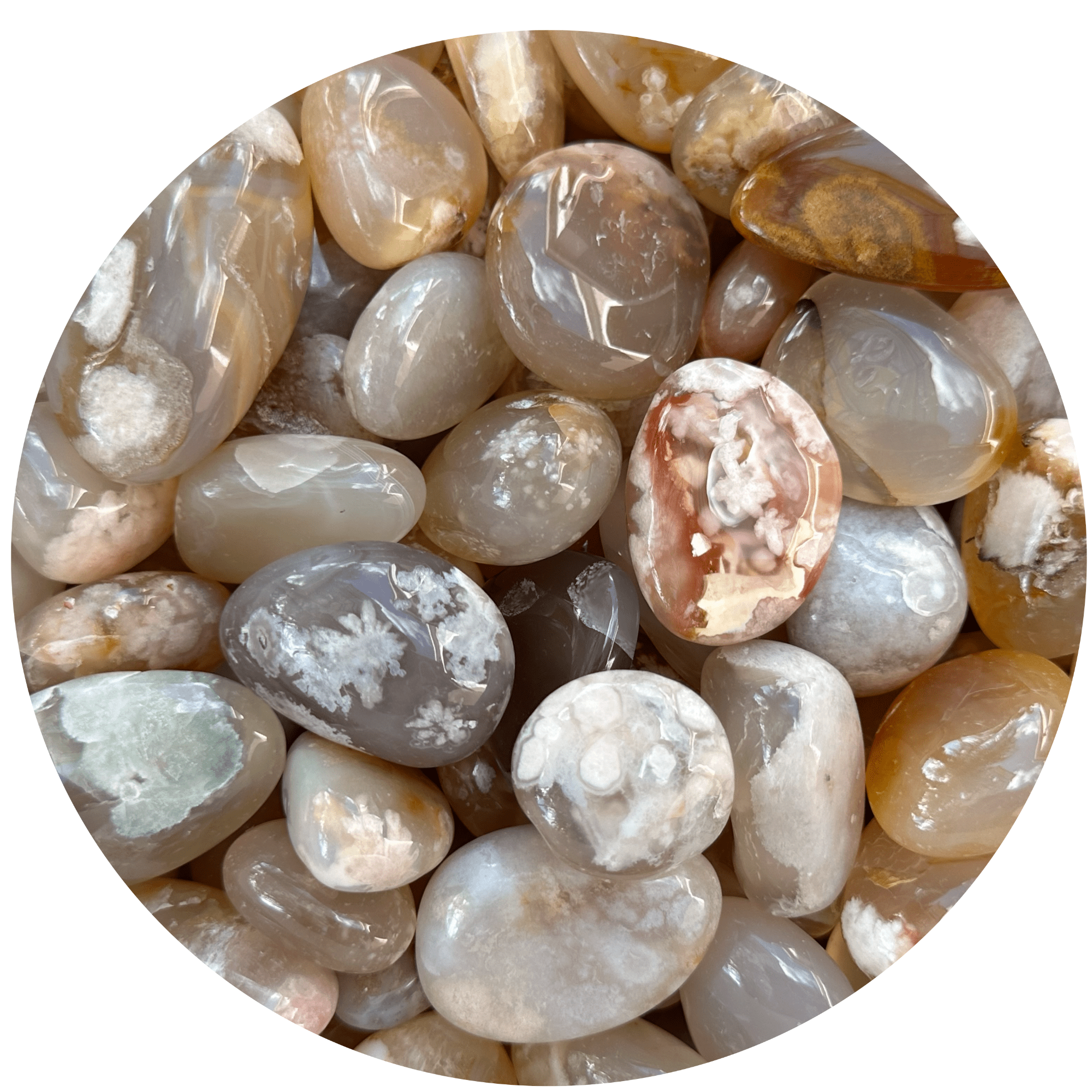 Flower Agate Tumbled Stones, Polished Flower Agate Gemstone, Flower ...