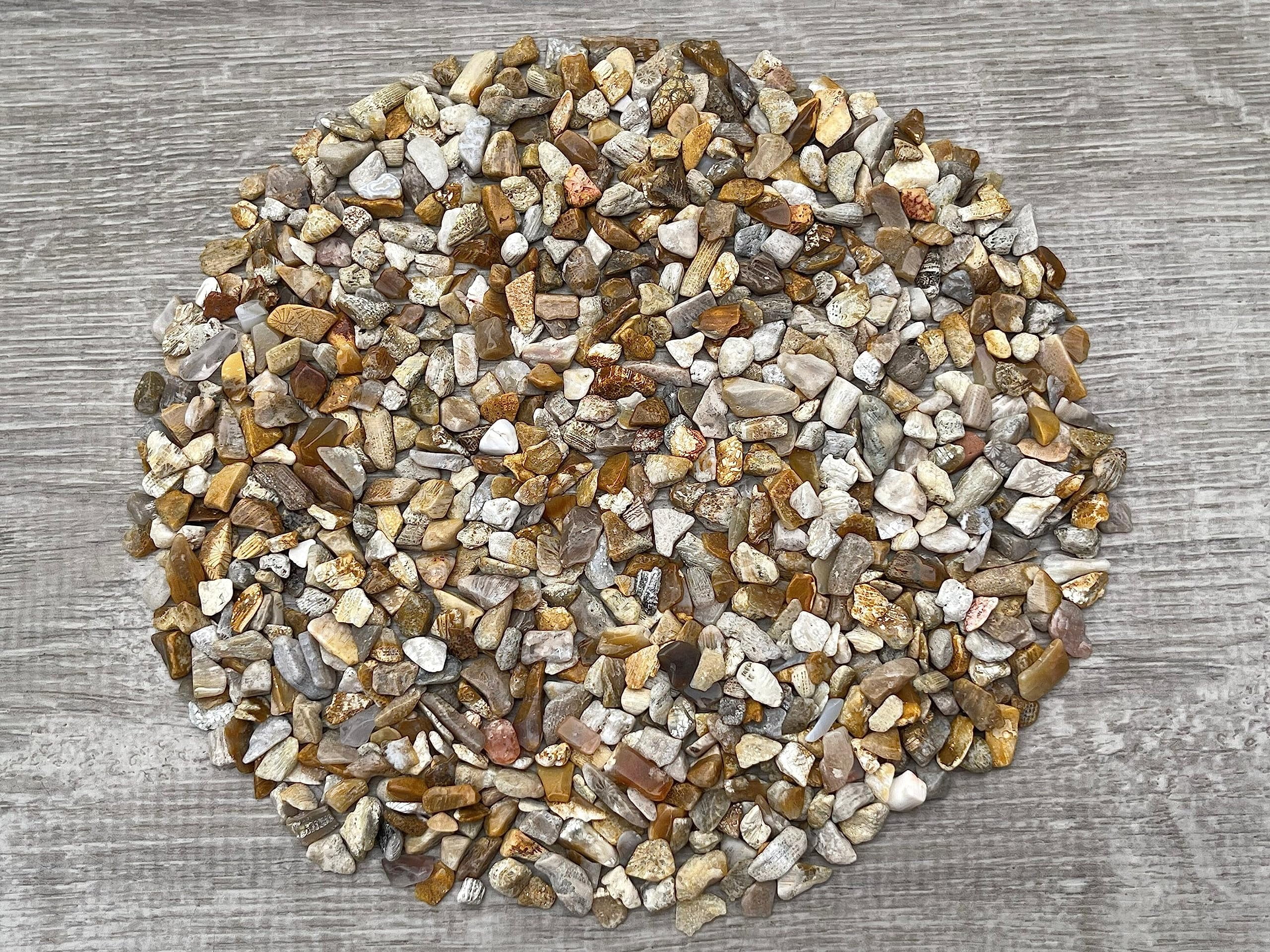 WHOLESALE Natural Semi Tumbled Fossil Coral Gemstone Chips, Crushed ...