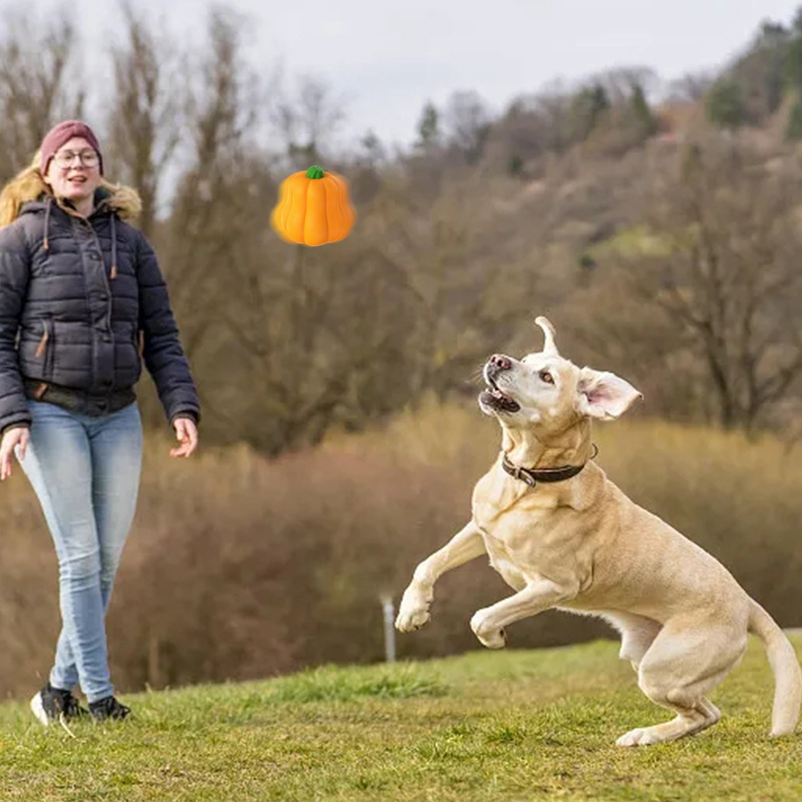 WIFKLSIIPG Dog Toys Dog Chew Toys for Aggressive Chewers Indestructible ...