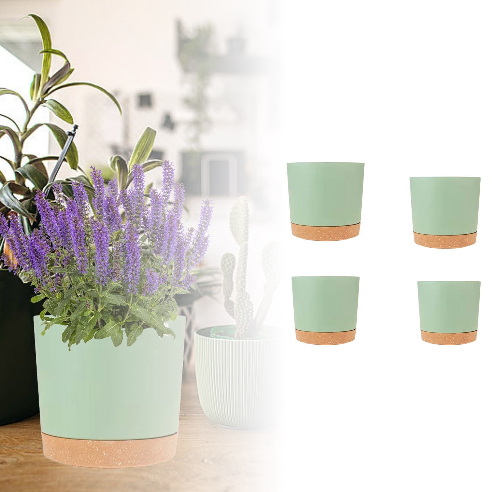 WIFKLSIIPG Upgrade Your Display with Our Quality and Eye Catching Pot ...