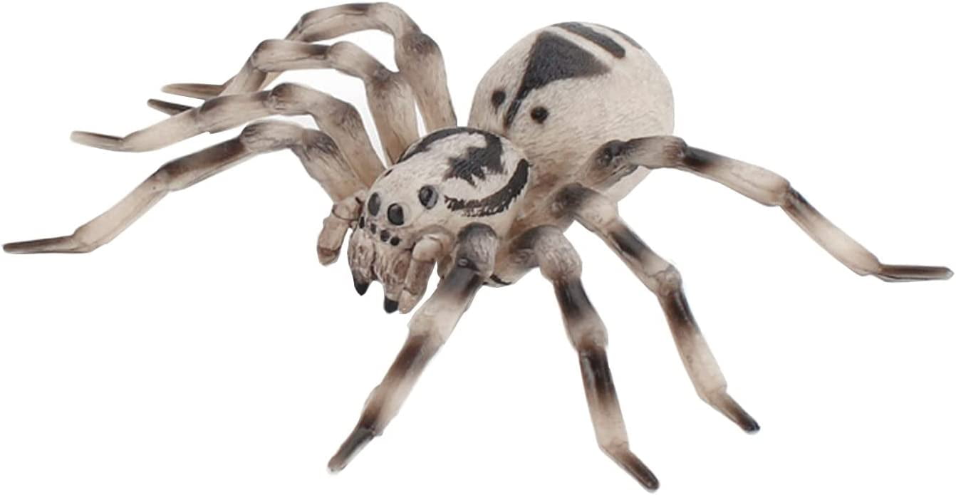 WIHE Realistic Animal Figures - Spider Action Model Lifelike Insect toy ...