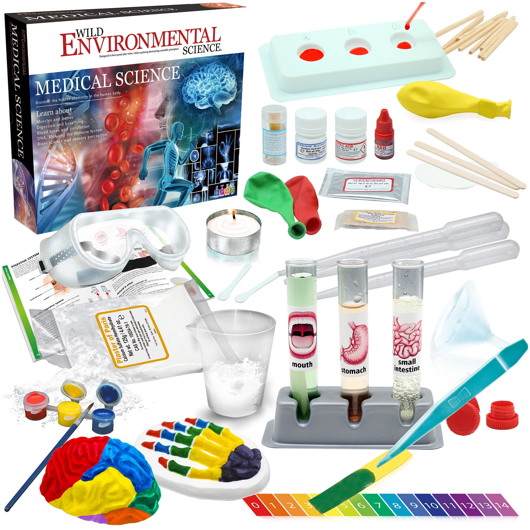 WILD ENVIRONMENTAL SCIENCE STEM Kit (8+) - Lab Experiment Toy - Create ...