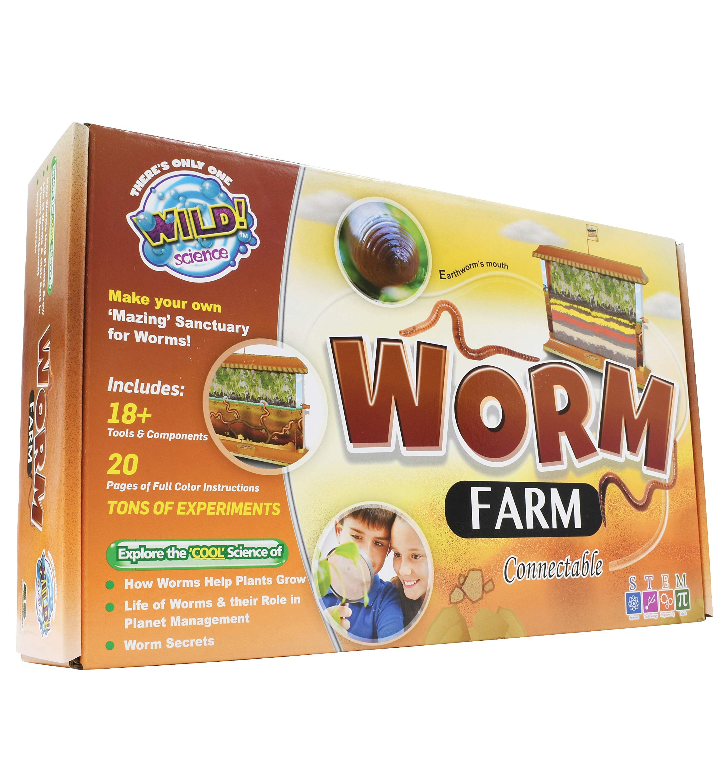 WILD! Science - WS27 KEF16 Worm Farm - Ages 6+ - In Home Learning ...