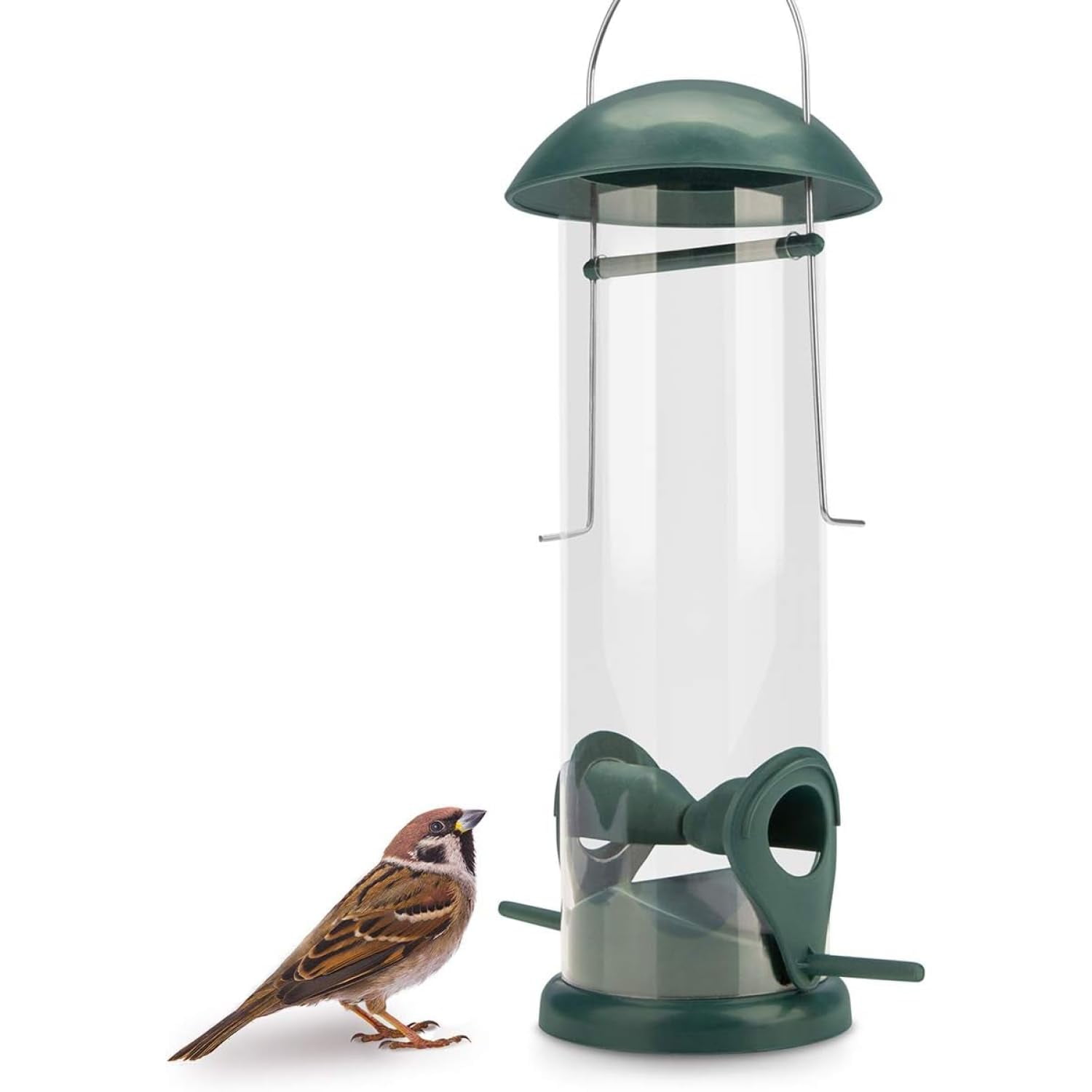 WILDLIFE FRIEND 8 inch Green Seed Bird Feeder - 2 Perches, Bird Feeding ...