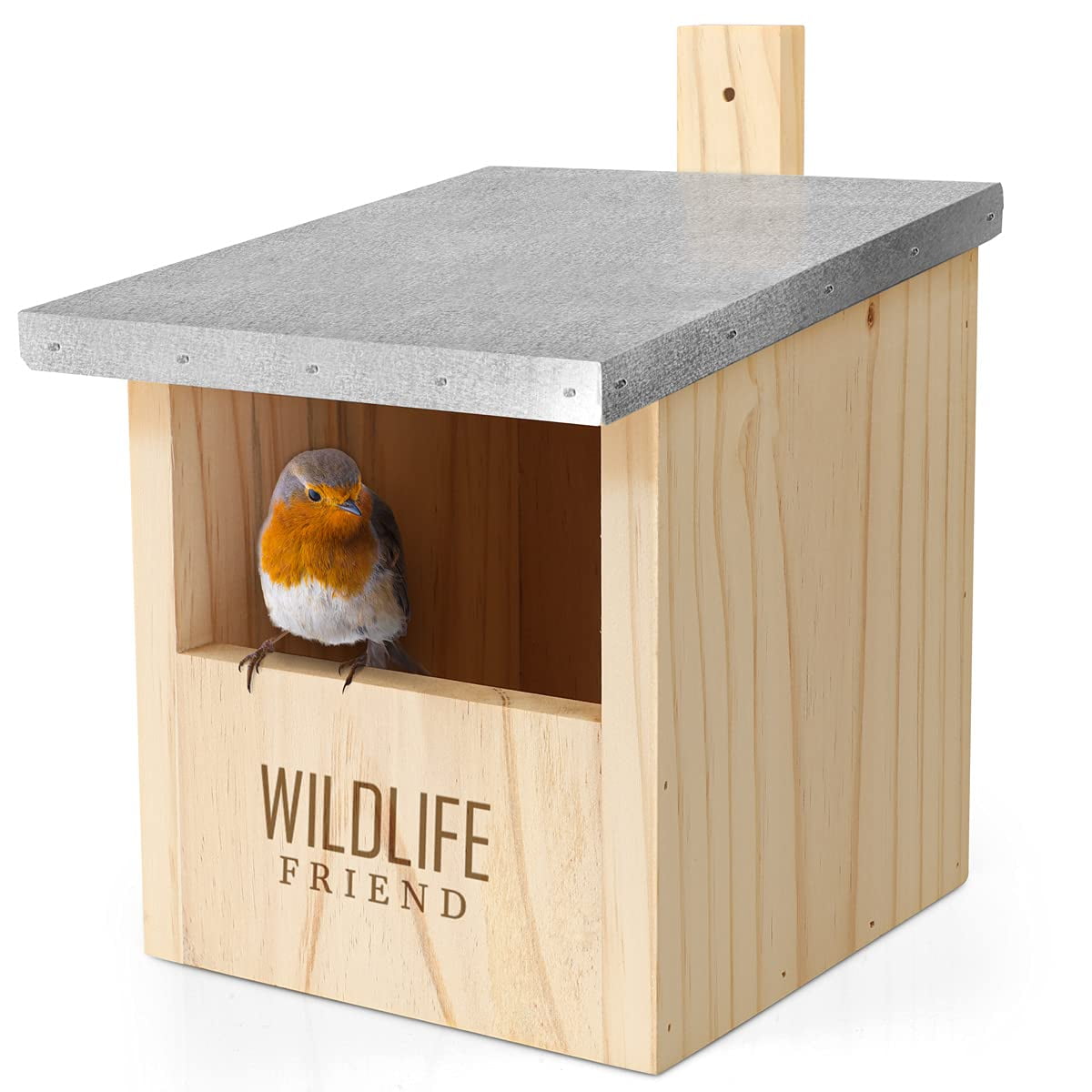 WILDLIFE FRIEND I nest Box Robins & Co with Metal roof According to ...