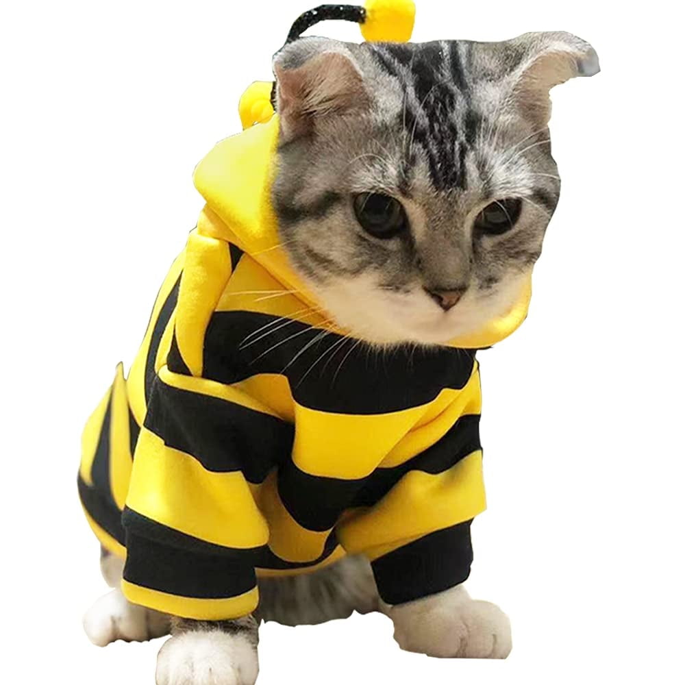 WILLED Pet Bee Halloween Costume for Cats and Small to Medium Dogs ...