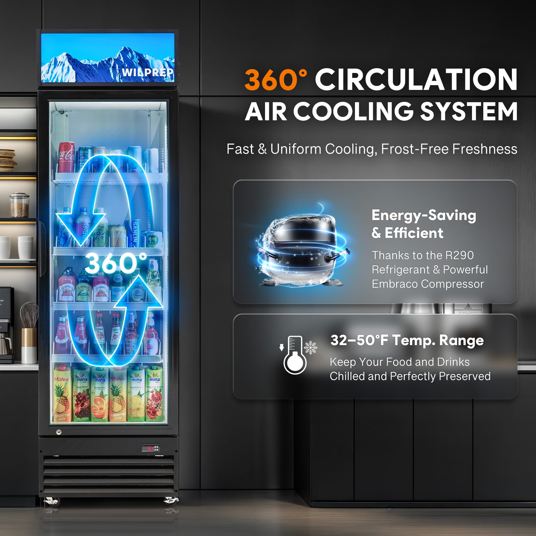 WILPREP Commercial Display Refrigerator, 15.1 cu ft Glass Door ...