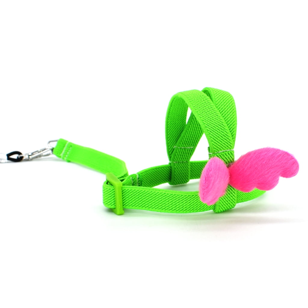 WINDLAND 2m Anti Bite Flying Training Rope Parrot Bird Leash Ultralight ...