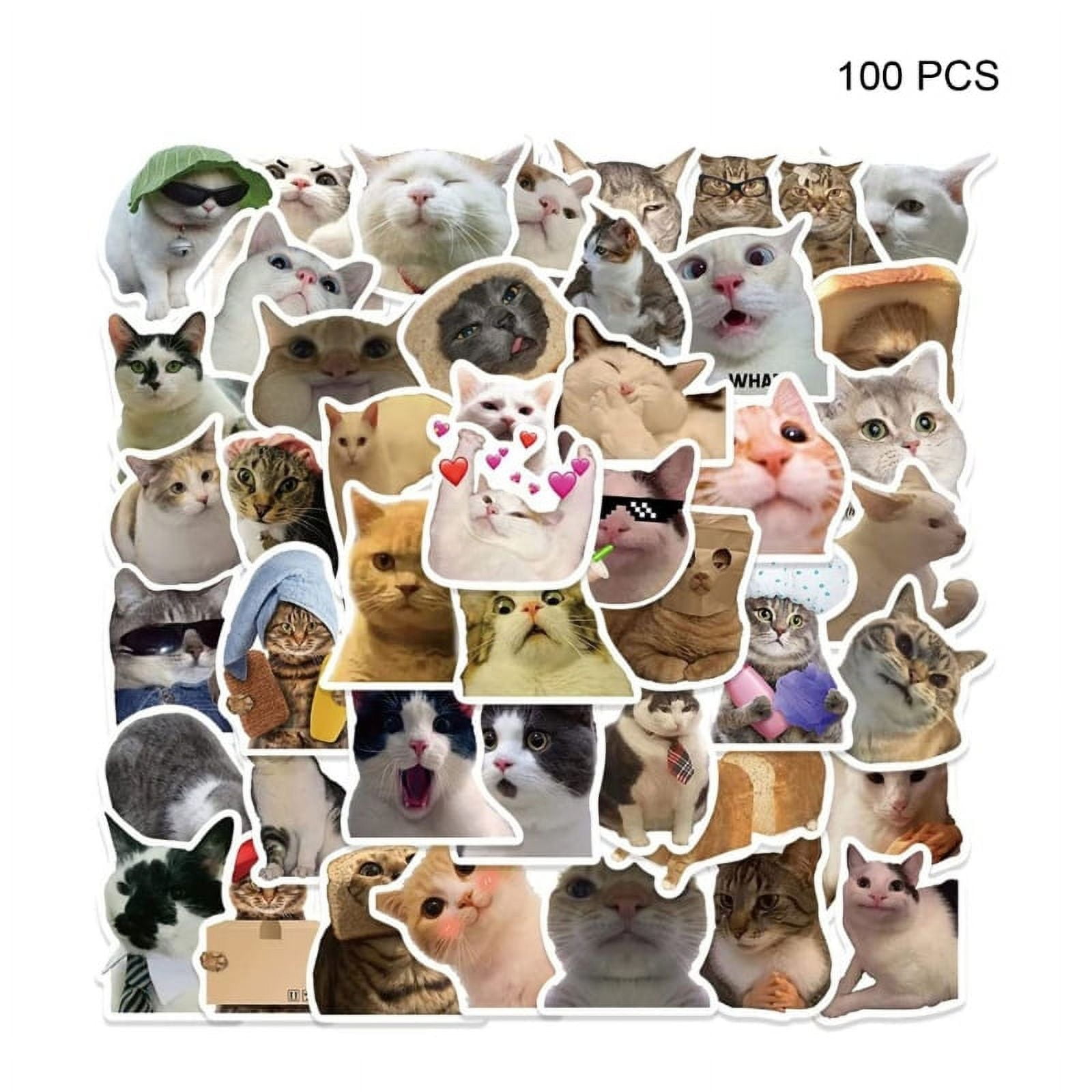 WINDLAND 50x Funny Cats Stickers Meme Stickers Art Graffiti Stickers ...