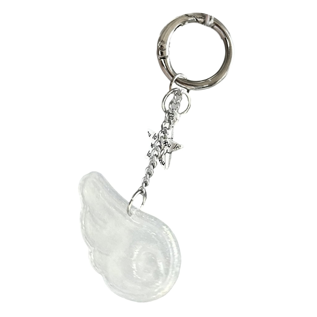 WINDLAND Adorable Star Key Ring Plastic Angel Wing Charm With Star ...