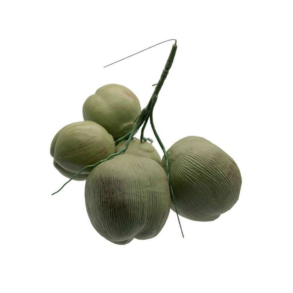WINDLAND Artificial Coconuts Simulation Coconut Artificial Fruit for ...