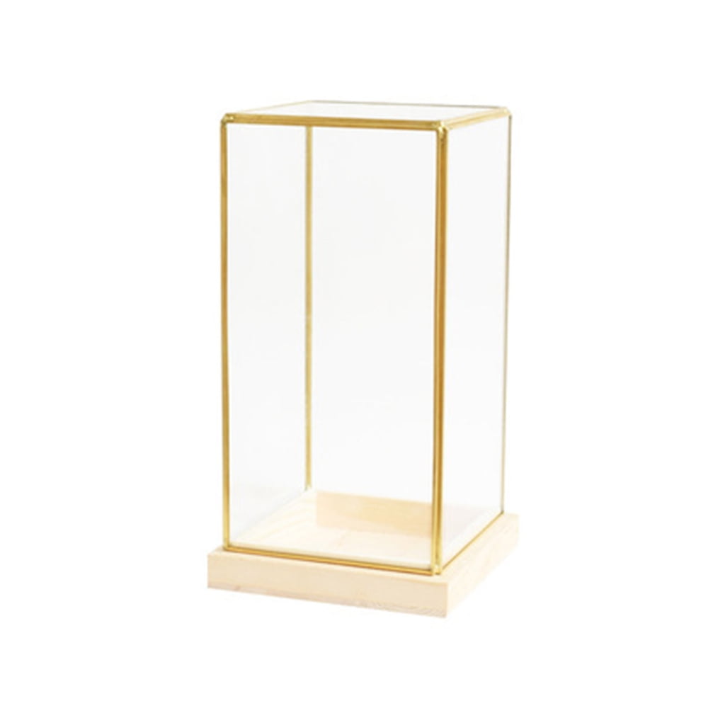 WINDLAND Collectible Glass Display Case Display Case for Collectibles ...