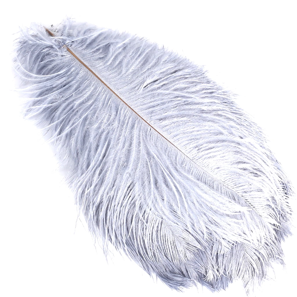 WINDLAND Colored Ostrich 10Pcs for Photography Props Flower Arrangement ...