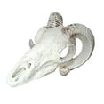 WINDLAND Delicate Hallowed Cave Terrarium Hideouts Goat Head Shape ...