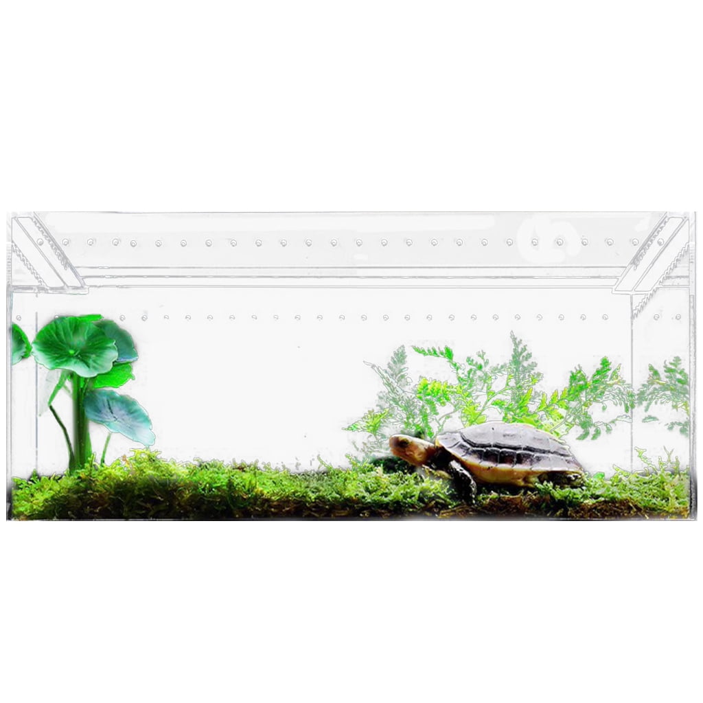 WINDLAND Magnetic Acrylic Case Arboreal Tarantula Enclosure Reptile ...