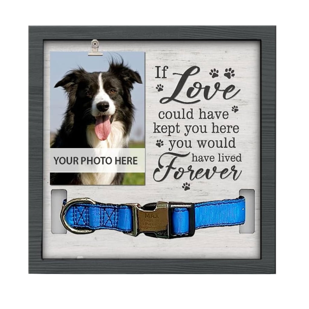 WINDLAND Pet Memorial Pictures Frame for Loss of Dog Cats 9x9Inch ...