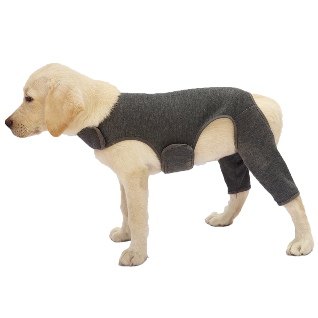 WINDLAND Pet Rear Leg Sleeve Wrap Support Aids in Healing Comfortable ...