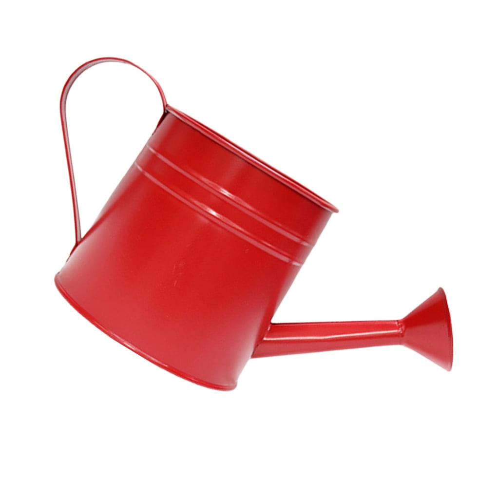 WINDLAND Portable Iron Flower Bucket Retro Designs Watering Can for ...