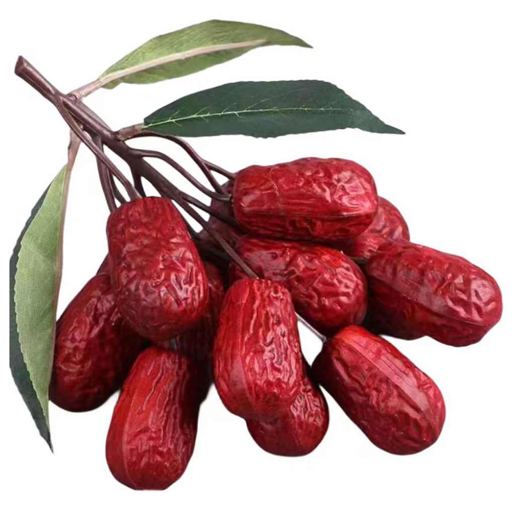 WINDLAND Soft and Realistic Jujube Artificial Jujube Dried Nut Model ...