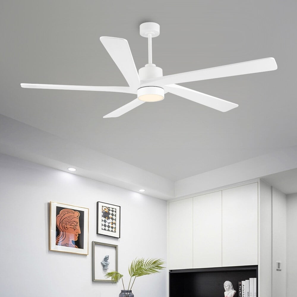 WINGBO 72" Ceiling Fan with Lights, 5 Reversible Blades, Ultra Quiet 6 ...