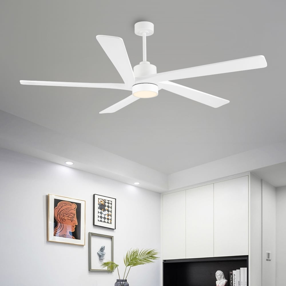 WINGBO 72" Ceiling Fan with Lights, 5 Reversible Blades, Ultra Quiet 6 ...