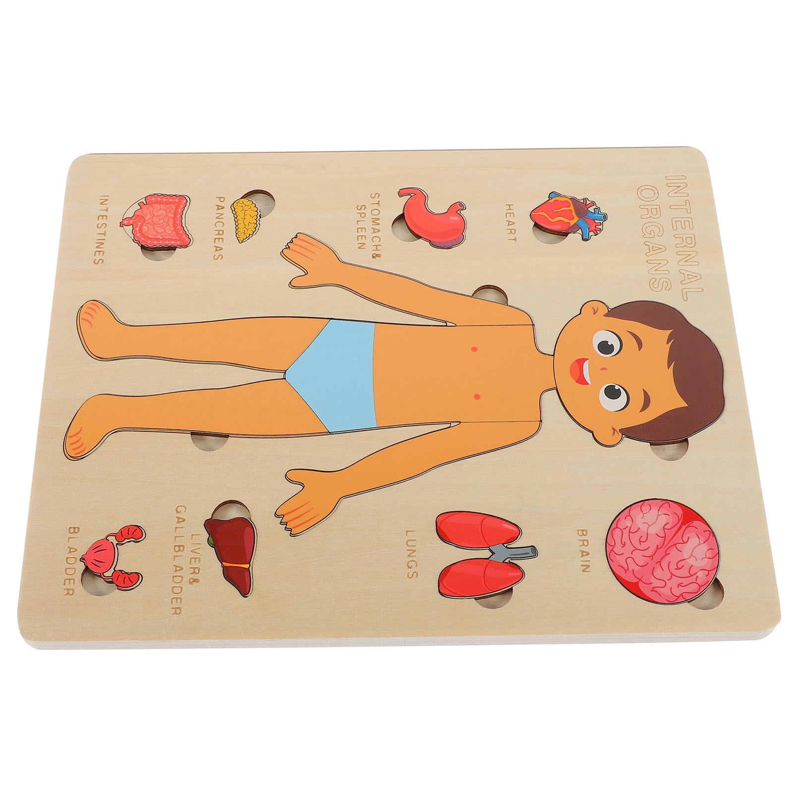 WINOMO 1 Set Wooden Body Puzzle Toy Kids Anatomy Model Promote Hand Eye ...
