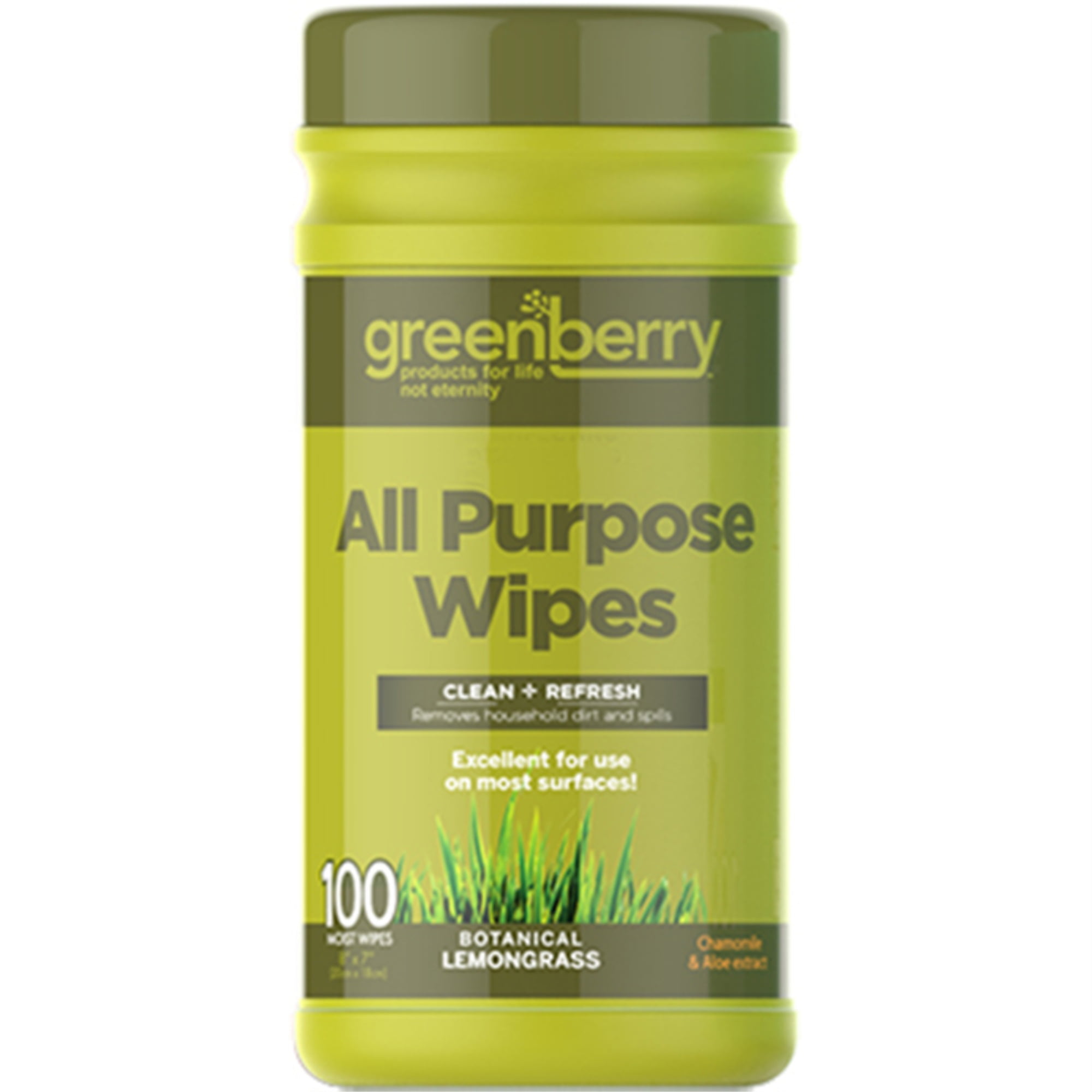 WIPES ALL PURPOSE (Pack of 1) - Walmart.com