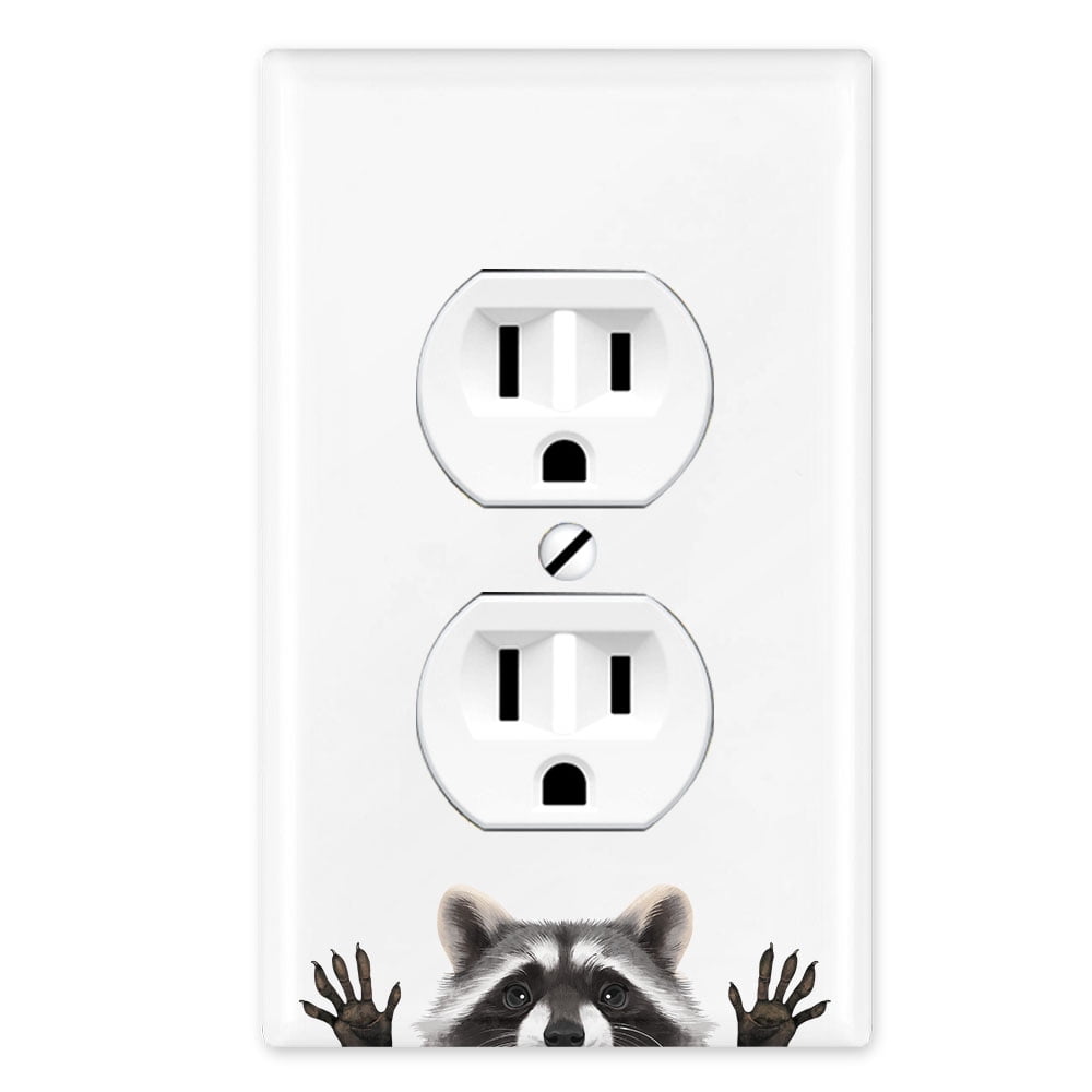 WIRESTER 1-Gang Duplex Outlet Cover Wall Plate/Switch Plate Cover ...