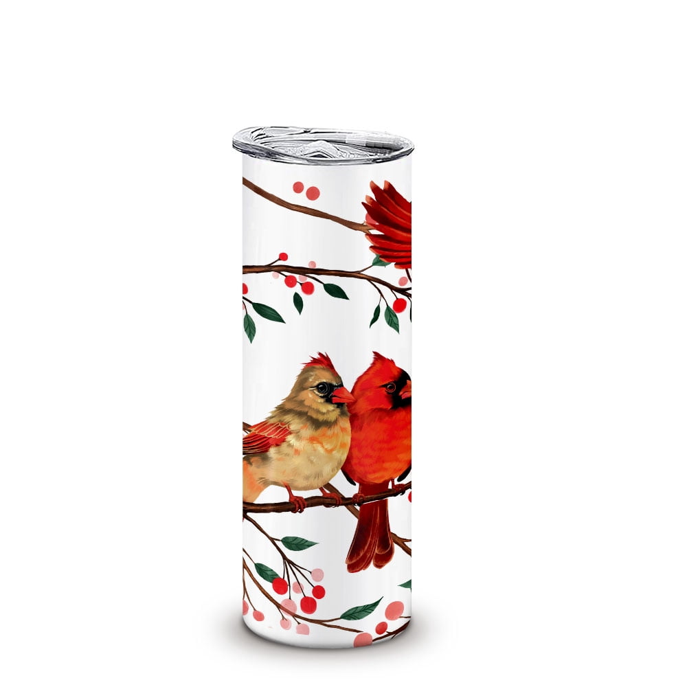 WIRESTER 20oz Stainless Steel Tumbler with Plastic Straw for Coffee ...