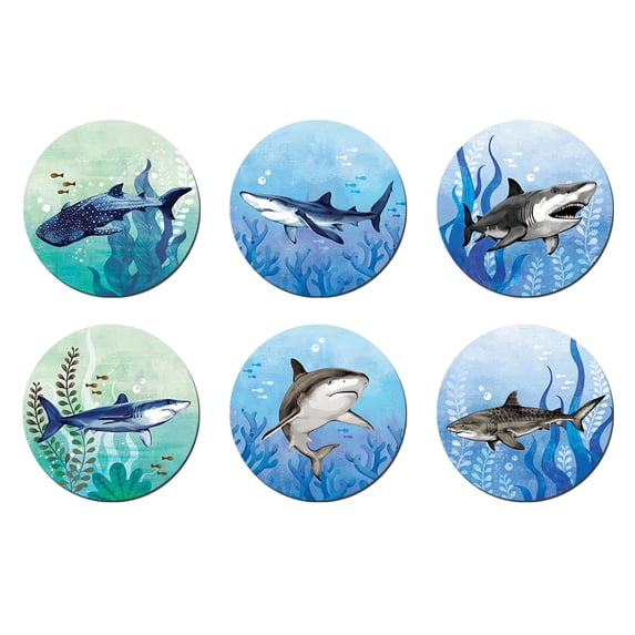 WIRESTER 6pcs 2.16 Inch Round Fridge Magnet for Home Office Classroom ...