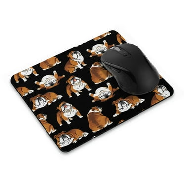 Human Male Anatomy Scheme Main Pelvis Bones Sacrum Ilium Coccyx ...