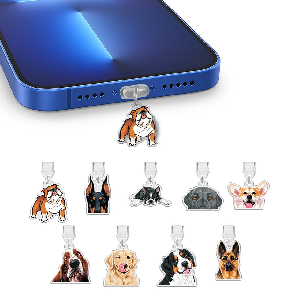 WIRESTER 9 Pcs USB-C Dust Plug Charm Set, Type-C Charging Port Plug ...