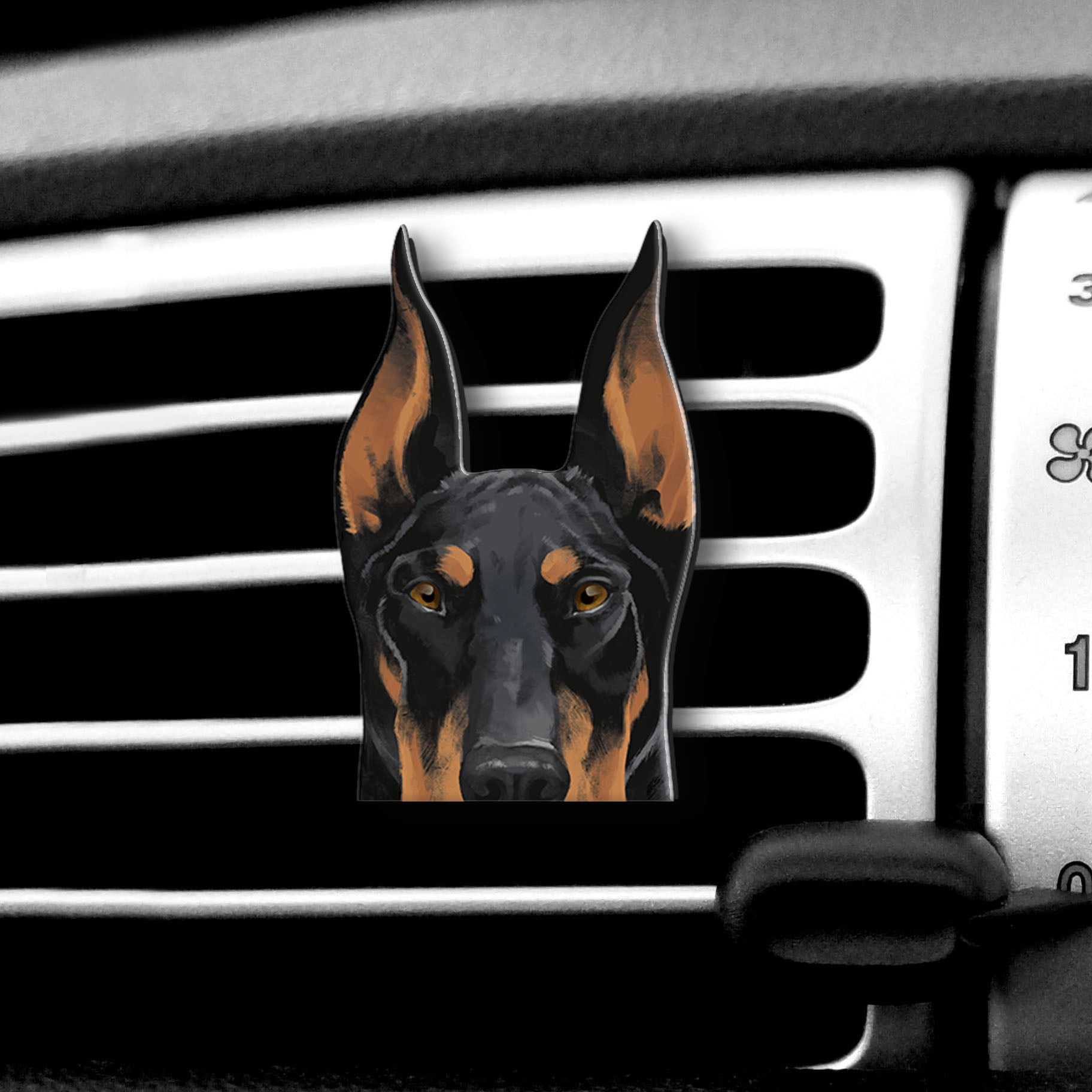 WIRESTER Car Air Freshener Fragrance Vent Clip Decoration, Black Rust ...