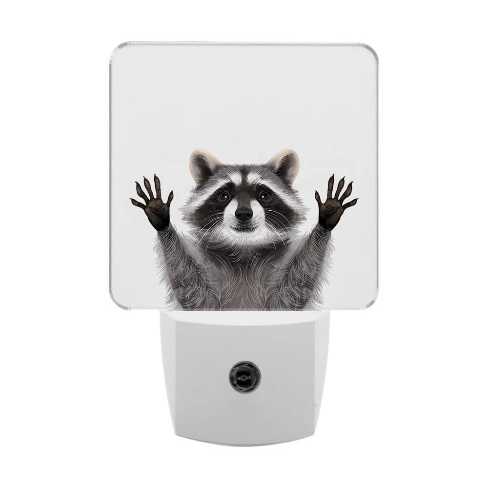 WIRESTER Plug-in Led Wall Night Light Shade Night Light - Racoon Hands ...